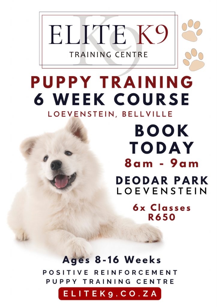 Elite K9 Training Centre - Elite K9 Training Centre | Loevenstein, Cape ...