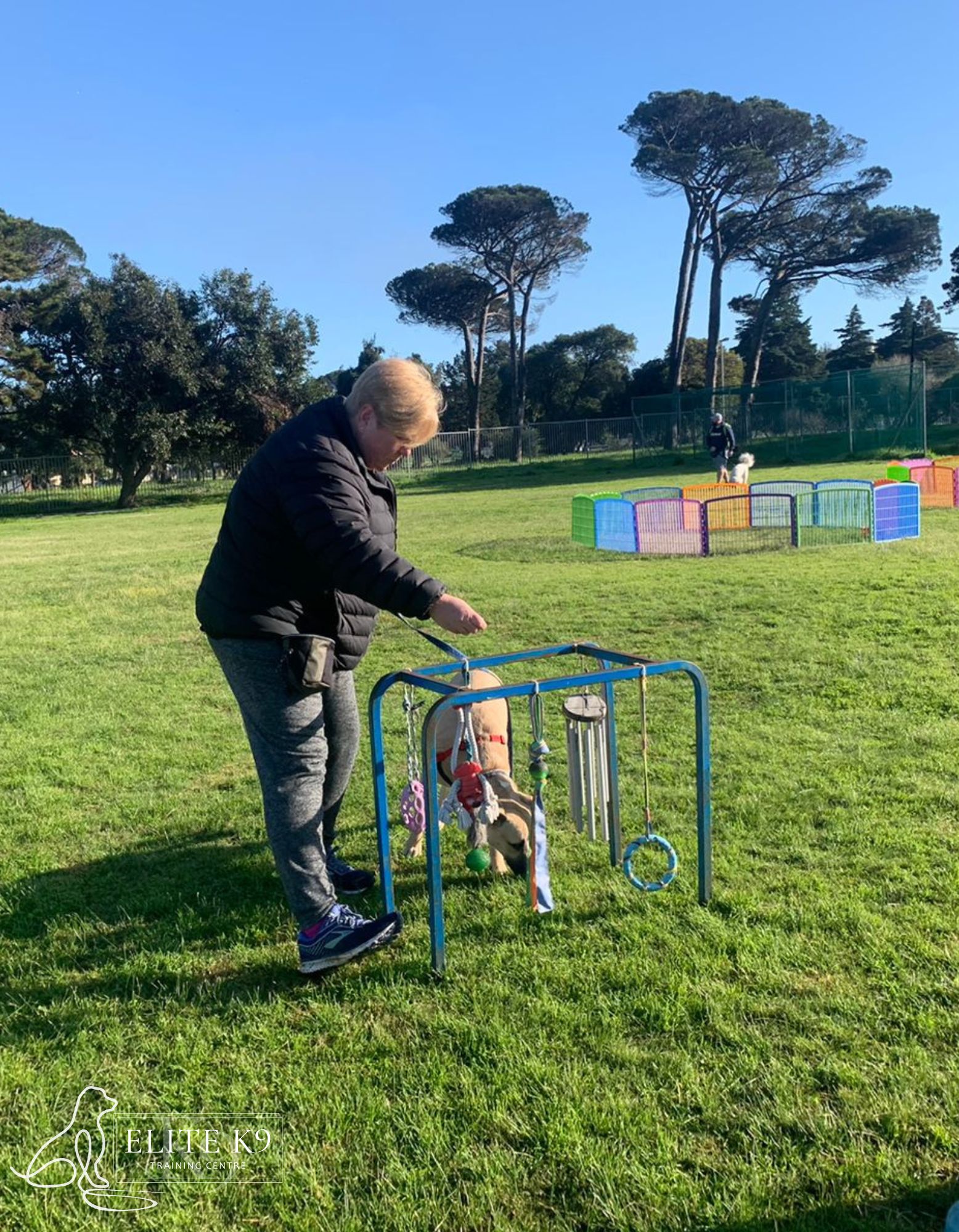 Elite K9 Training Gallery – Elite K9 Training Centre | Loevenstein ...