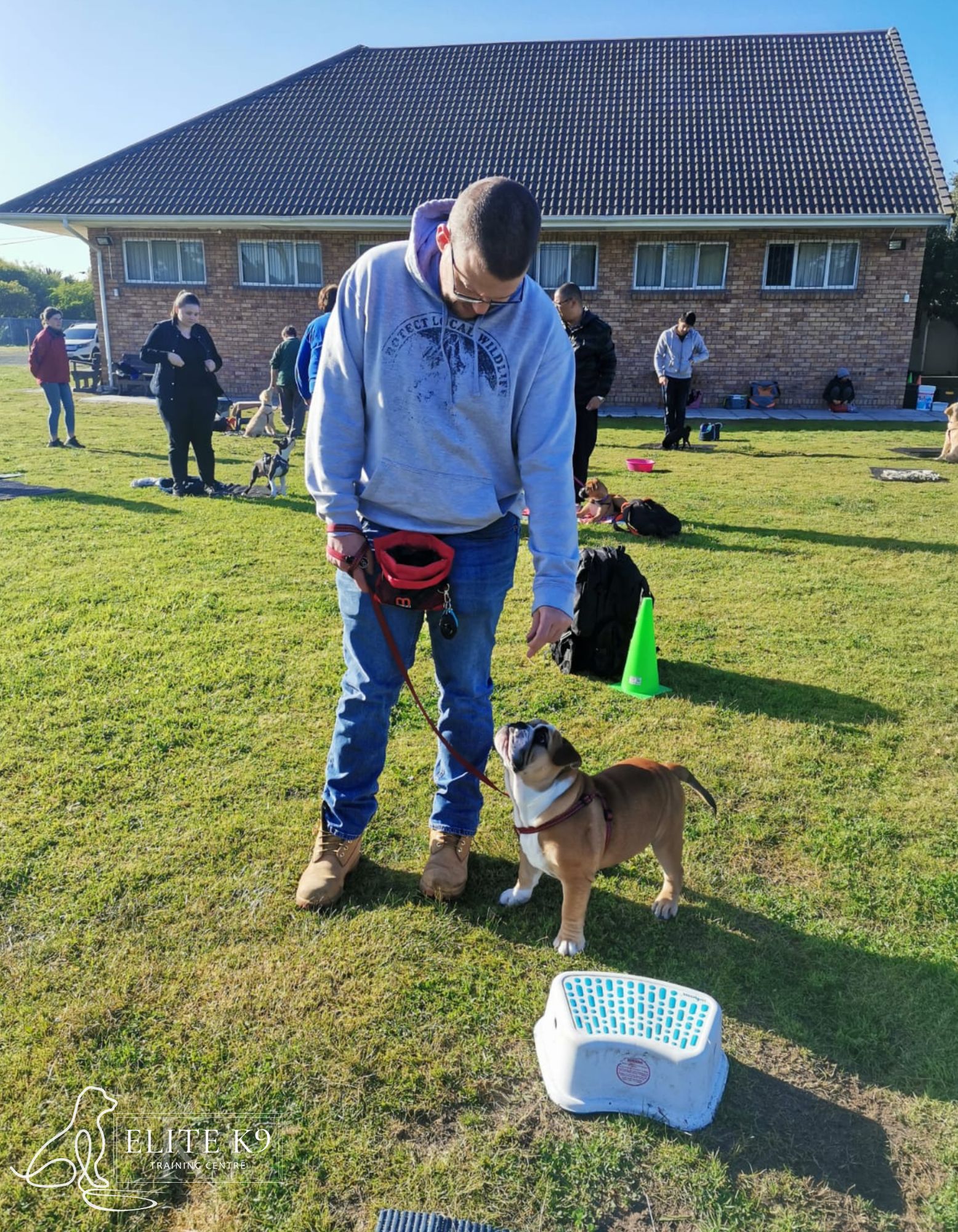 Elite K9 Training Gallery – Elite K9 Training Centre | Loevenstein ...